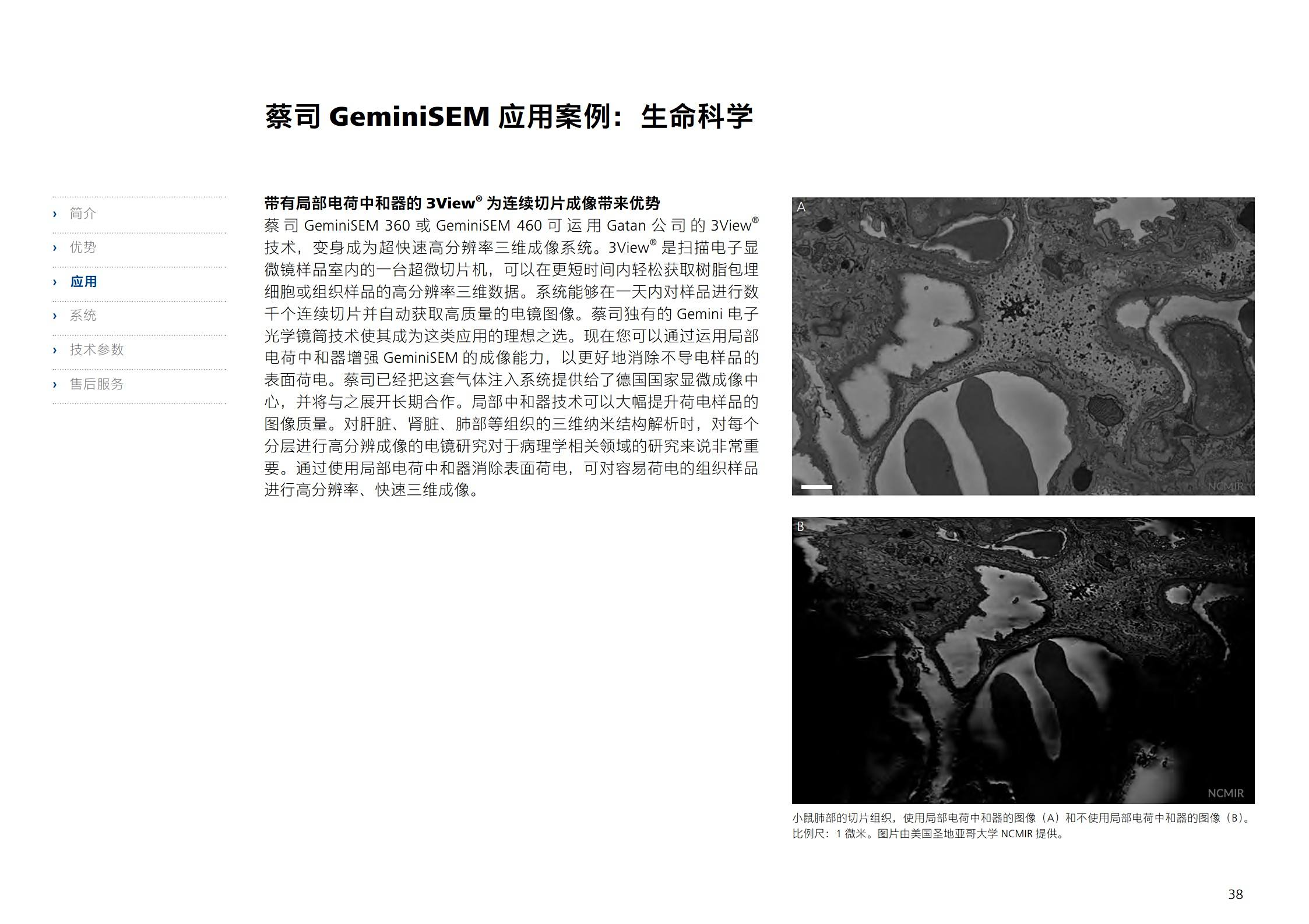 德国蔡司ZEISS 扫描电镜 SEM 高分辨率场发射 GeminiSEM 560 - 百度爱采购
