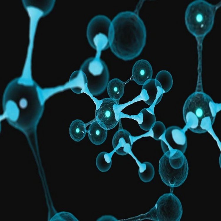 Expi293F （STR鉴定正确）T25培养瓶 科研专用 品种齐全 - 百度爱采购