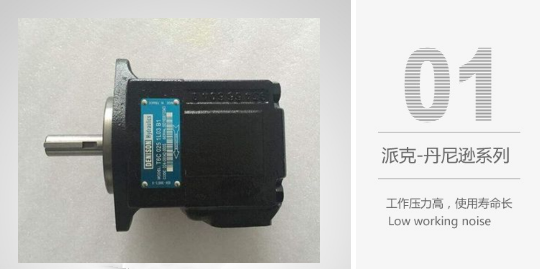 法国DENISON丹尼逊叶片泵T7B-B10-1R00-A1M0 T7DS-B42-1R00-A1M0 产品关键词:丹尼逊叶片泵批发