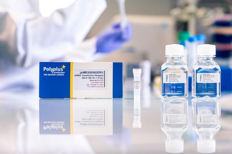 polyplus转染试剂 jetPRIME® 多功能DNA/siRNA transfection reagent 产品关键词:pl转染试剂 ...