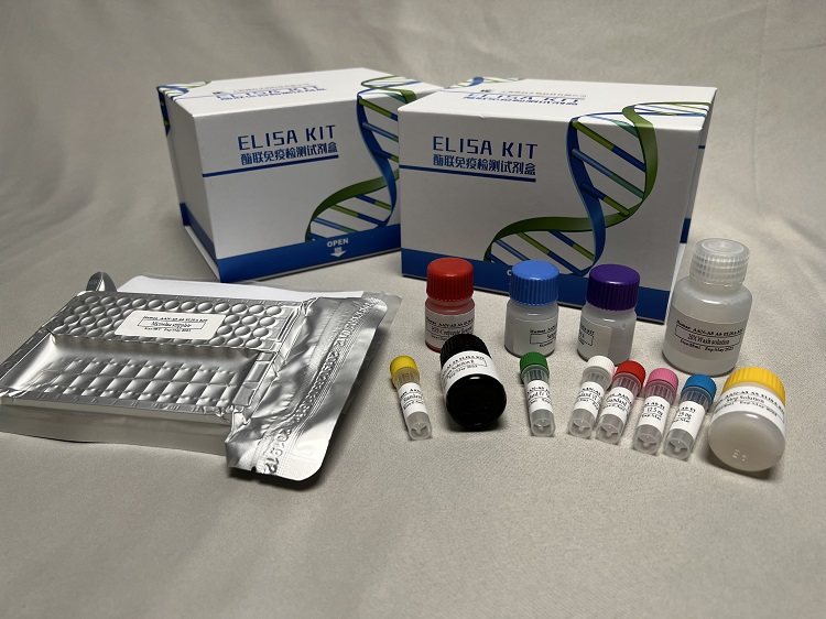 人丙氨酸氨基转移酶(ALT）elisa检测试剂盒 臻科研 产品关键词:丙氨酸elisa检测试剂