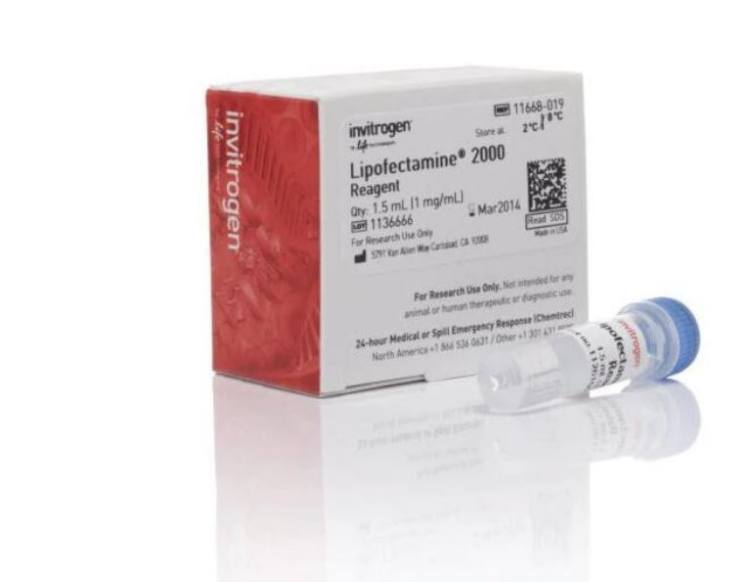 赛默飞Lipofectamine™ 2000 转染试剂16680191、1668500、11668027 产品关键词:试剂赛默飞;赛默飞试剂 ...