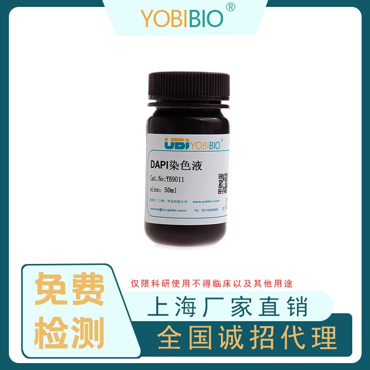 DAPI染色液细胞染色免疫荧光染色，染完毕后再进行DAPI染色 产品关键词:免疫荧光dapi染色;dapi免疫荧光;dapi染色荧光;dapi ...