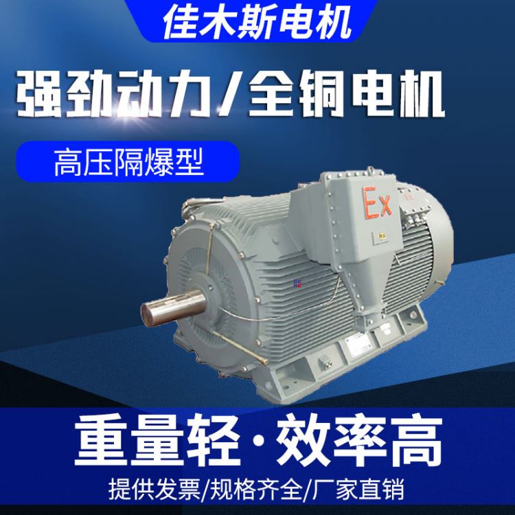 佳 木斯电机YB3系列高压隔爆型三相异步电动机（H355～H630）厂家