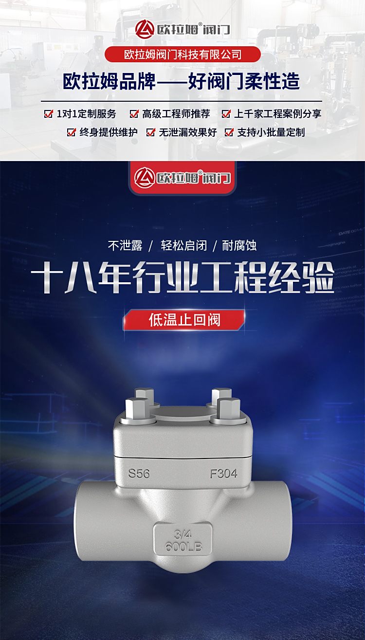 低温止回阀批发 美标dh61y 3 4口径 自力式 启闭快捷 欧拉姆工厂